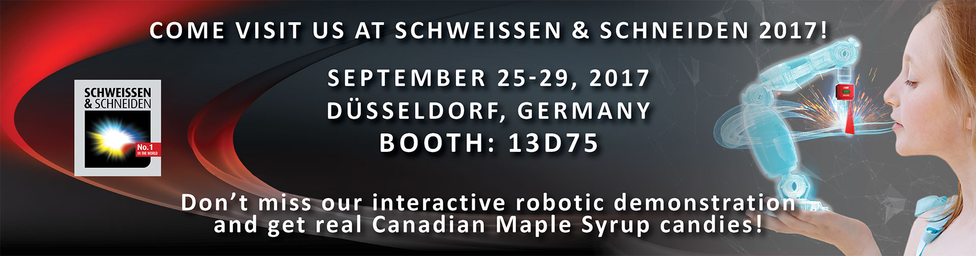 Smart Laser Vision Systems for Smart Robots